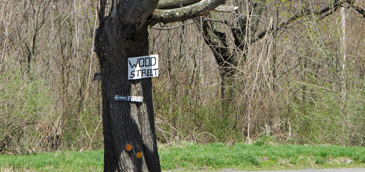 Centralia PA Windmills: Locust Ridge Wind Farm